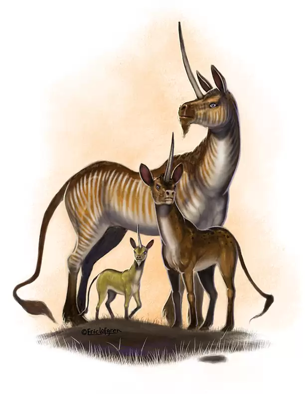 Eric Lofgren Presents: Savanna Unicorns - Misfit Studios | Eric Lofgren ...