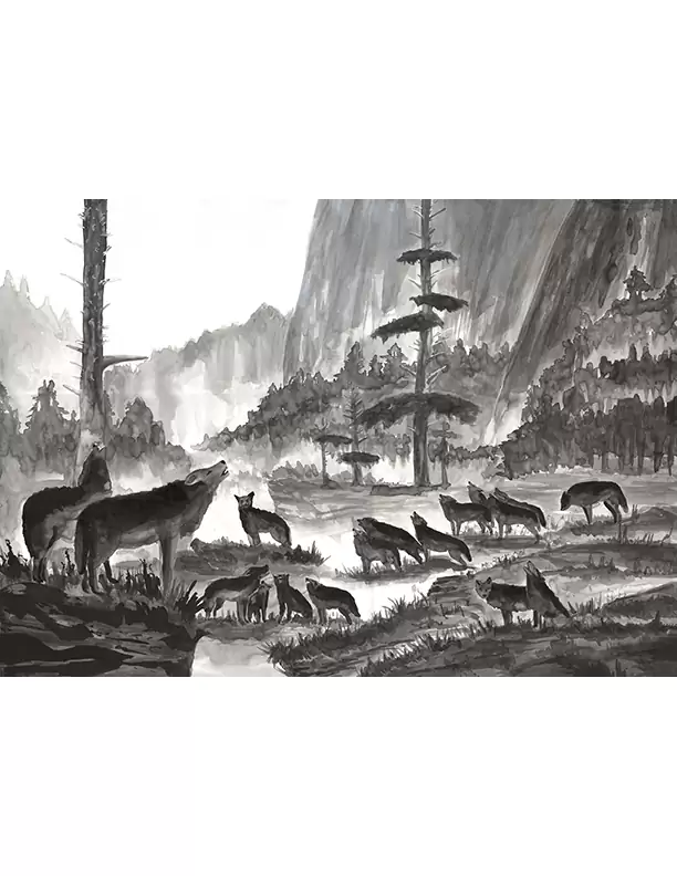 Jennifer S Lange Presents: Wild Wolf Pack - Misfit Studios | Publisher ...