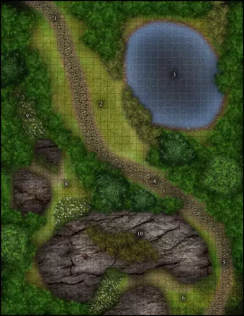 VTT Map Set - #217 Forest Trail Environment - Paths to Adventure | Big ...