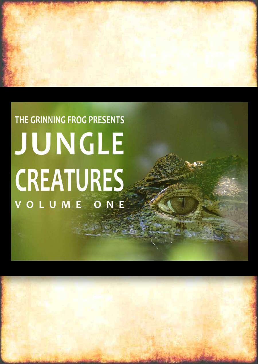 Jungle Creatures - The Grinning Frog | GM Resources | DriveThruRPG