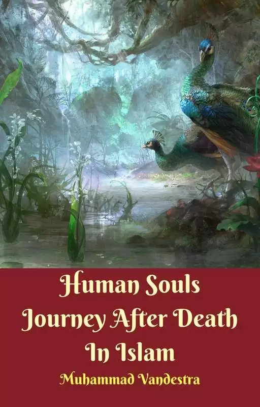 Human Souls Journey After Death In Islam - Muhammad Vandestra ...