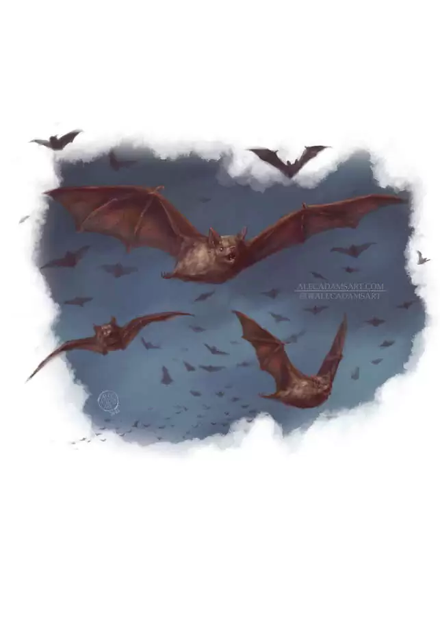 Bat Swarm - RPG Stock Art - Alec Adams Art | DriveThruRPG