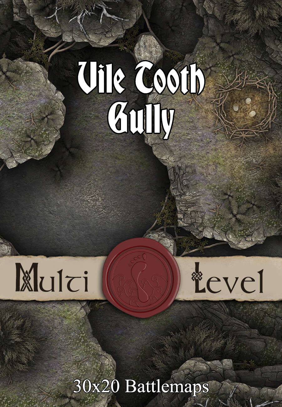 30x20 Multi-Level Battlemap - Vile Tooth Gully - Seafoot Games ...