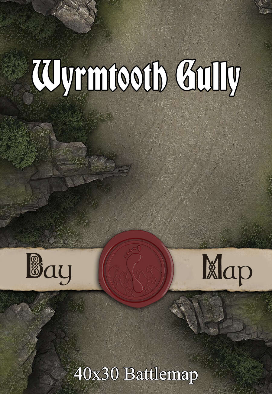 40x30 Battlemap - Wyrmtooth Gully - Seafoot Games | Roads | Forests ...