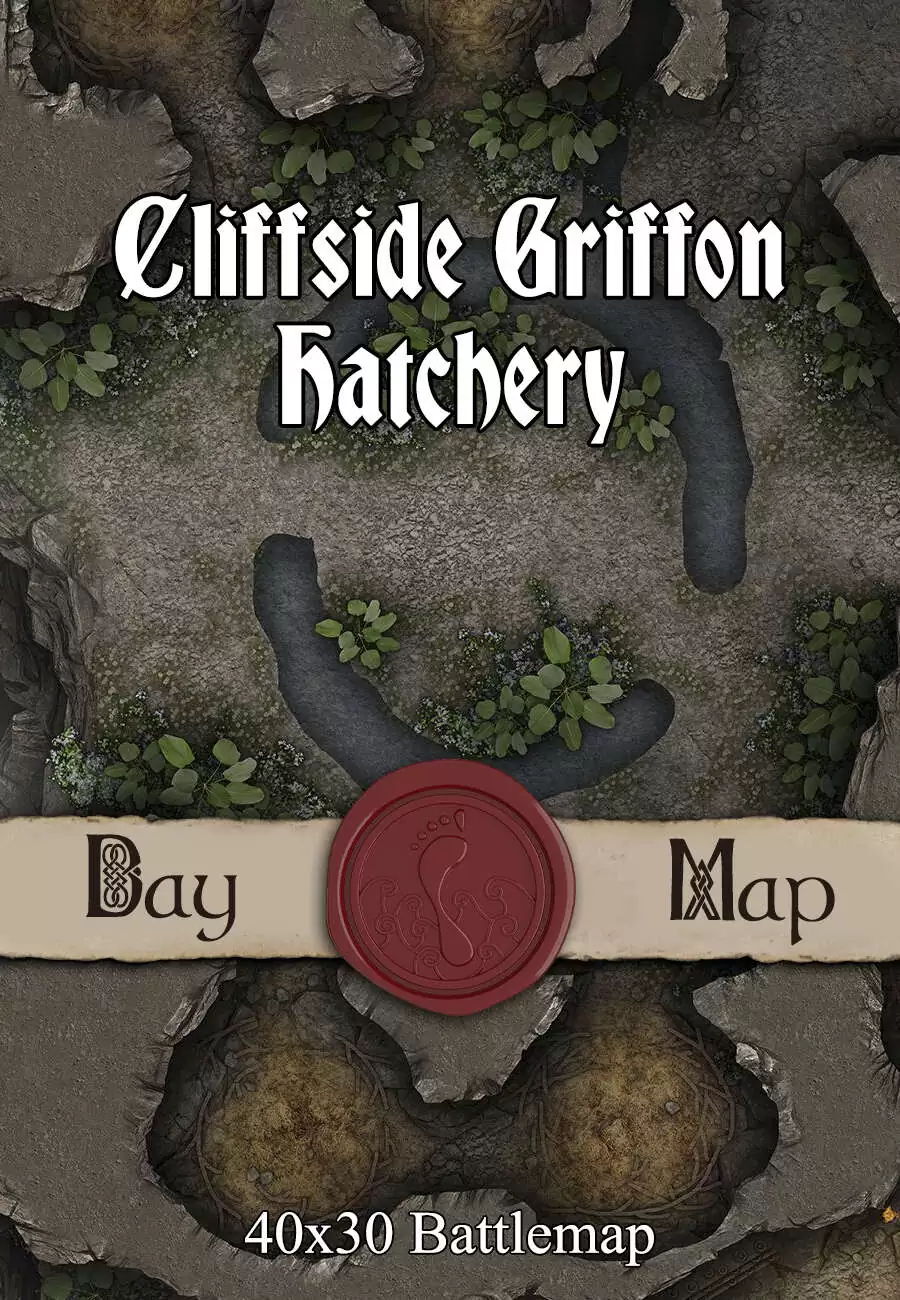 40x30 Battlemap - Cliffside Griffon Hatchery - Seafoot Games | Camps ...
