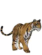 Tiger Prowler - Fiery Dragon | DriveThruRPG