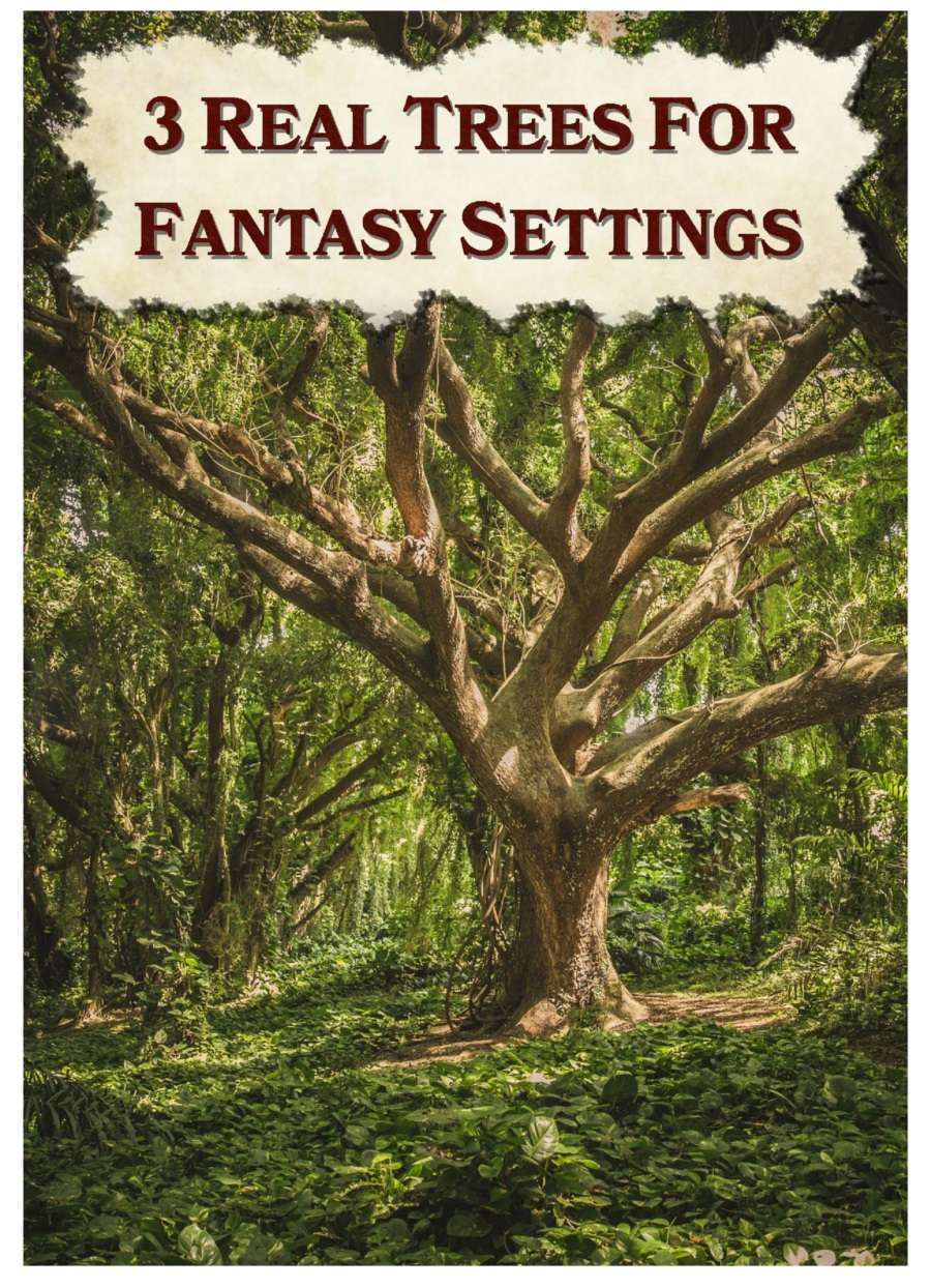 3 Real Trees for Fantasy Settings - Verdant Mage Publishing | DriveThruRPG