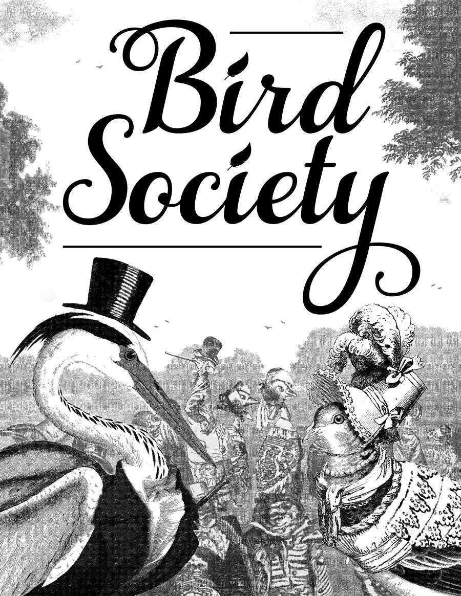 Bird Society - David Brunell-Brutman | DriveThruRPG