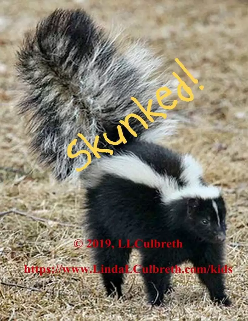 Skunked! - Linda L Culbreth | DriveThruRPG