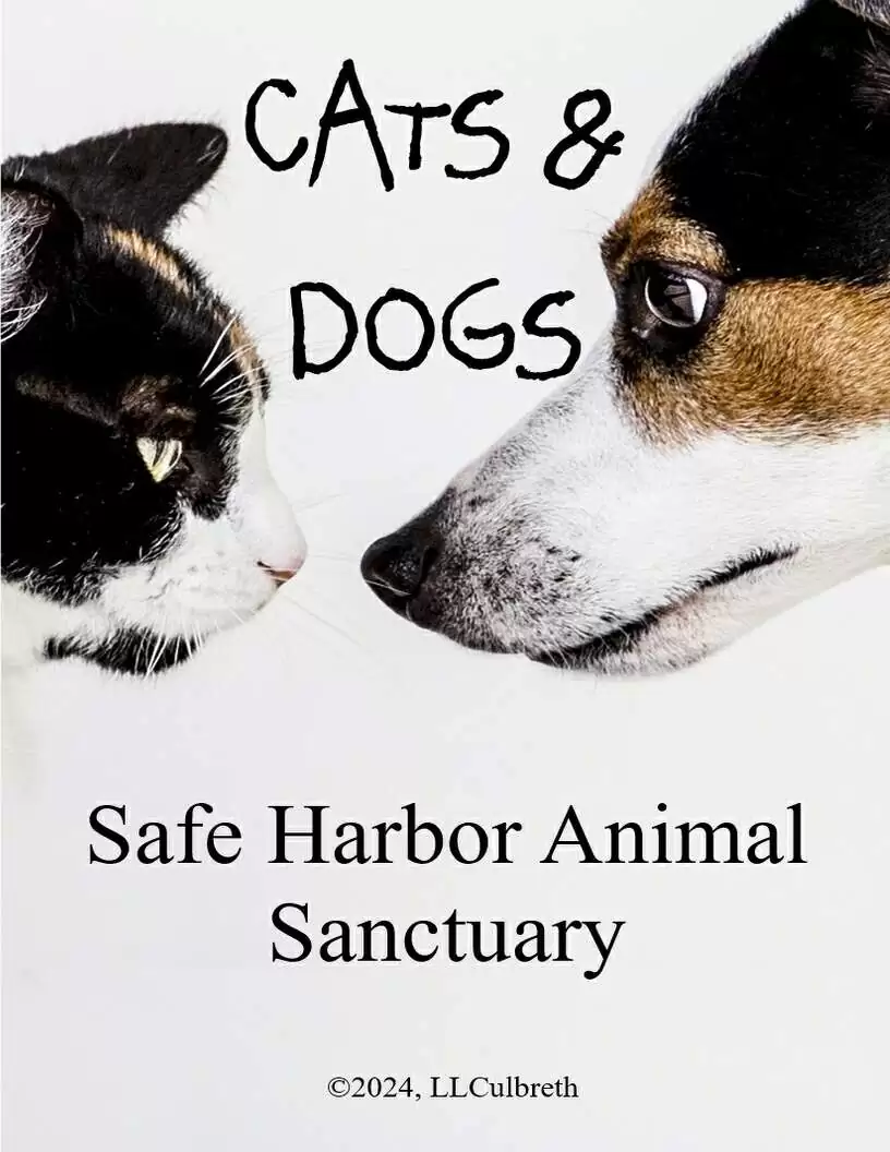 Safe Harbor Animal Cats & Dogs - Linda L Culbreth | DriveThruRPG