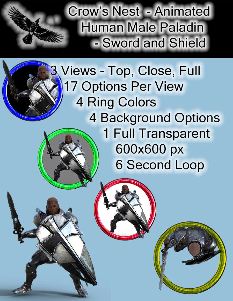 Animated Tokens: Human Male Paladin - Sword and Shield (51) (Roll20 ...