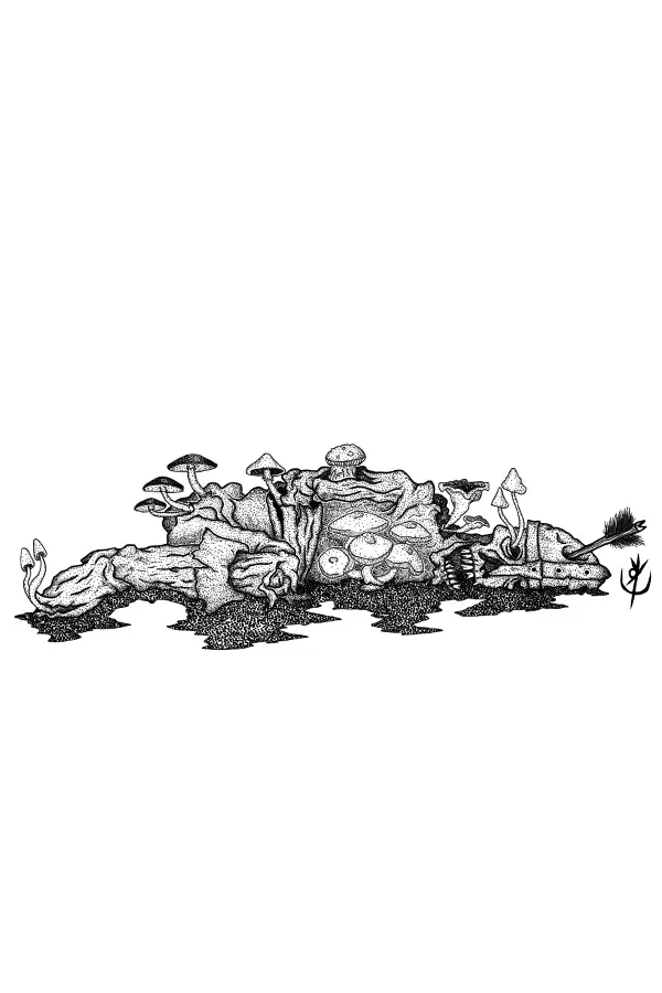 DEAD ADVENTURER - Stock art - Yuri Perkowski Domingos | DriveThruRPG