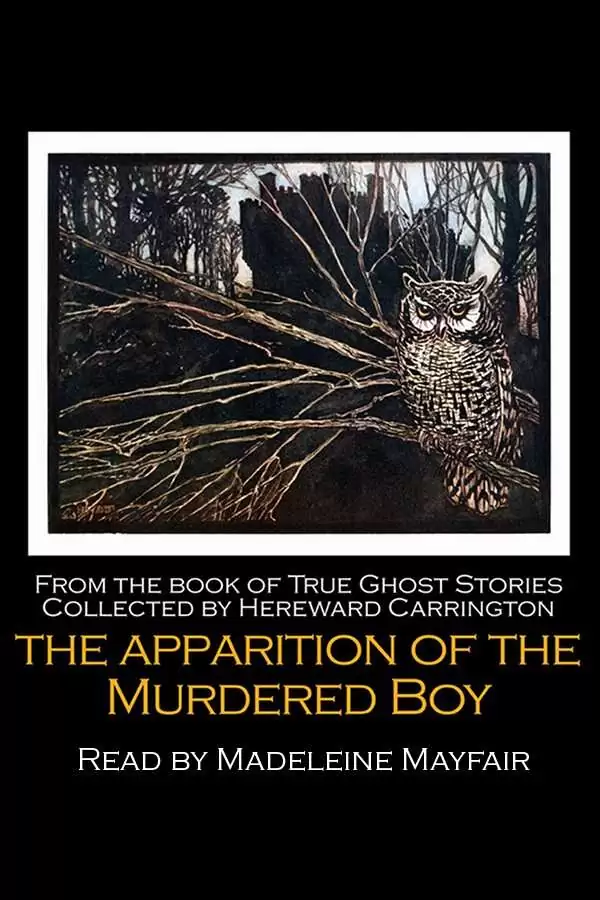 The Apparition of the Murdered Boy Audio Ghost Story - Rainbow Crush ...