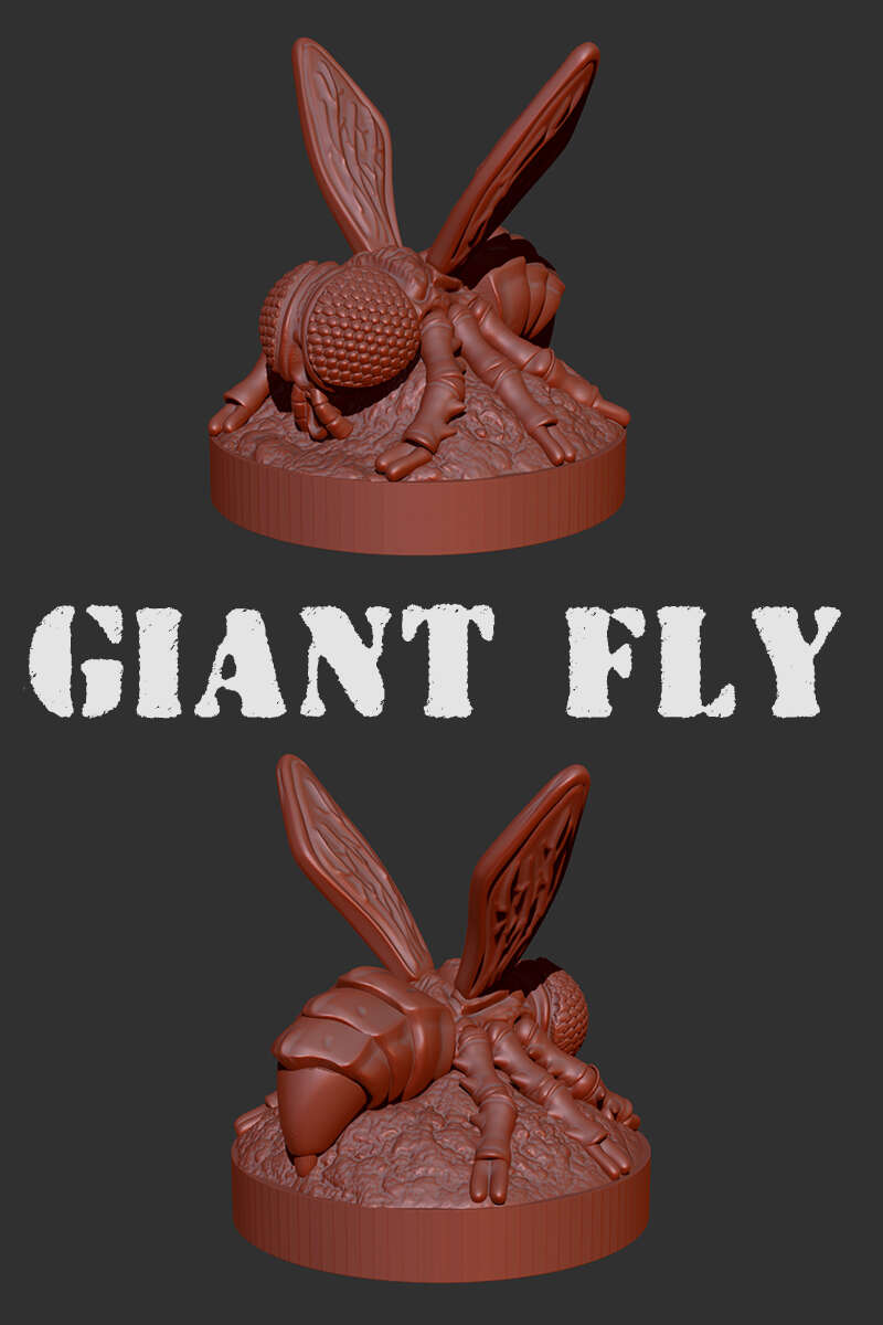 Giant Fly Miniature - Matt Designs | DriveThruRPG