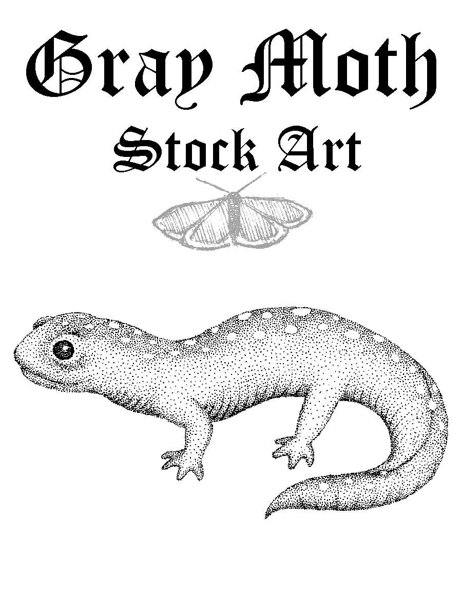 Newt - RPG Stock Art - Gray Moth | DriveThruRPG