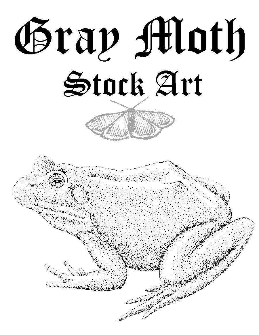Bullfrog - RPG Stock Art - Gray Moth | DriveThruRPG