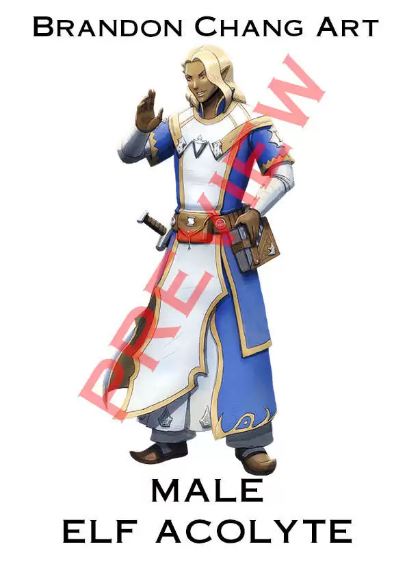 Fantasy Character Stock Art: Male Elf Acolyte - Brandon Chang Art ...