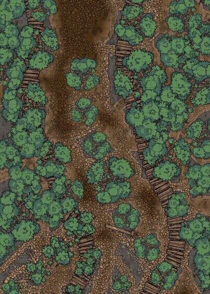 Swamp Encounter (25x50) map - Maps ‘N’ Quests | DriveThruRPG