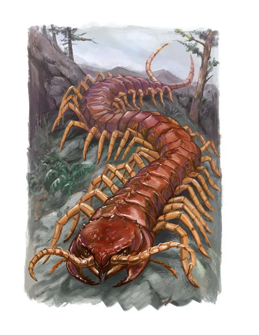 Stock Art: Giant Centipede with Background - Jeff Stevens Games ...