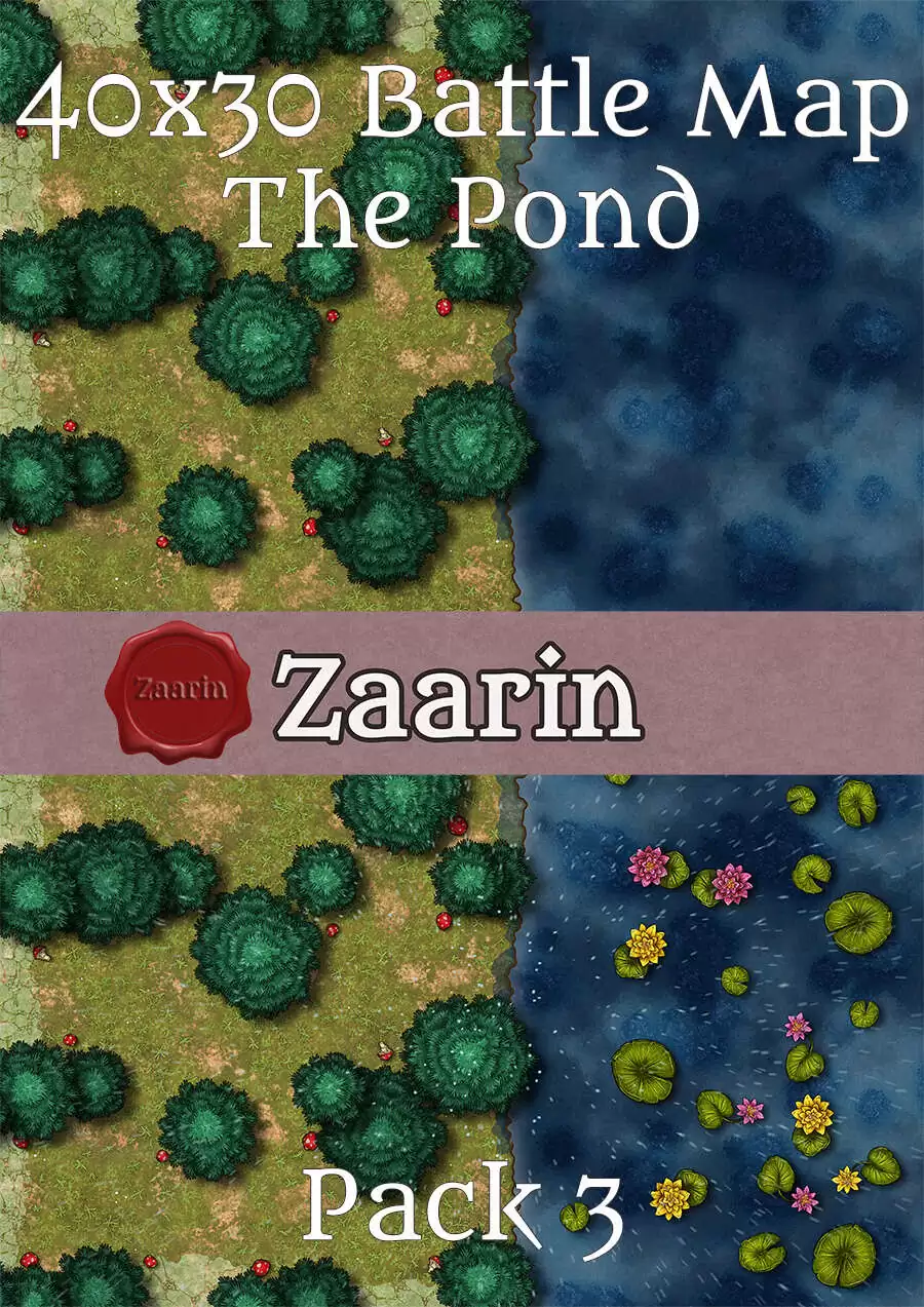 40x30 Fantasy Battle Map - The Pond Pack 3 - Zaarin | DriveThruRPG