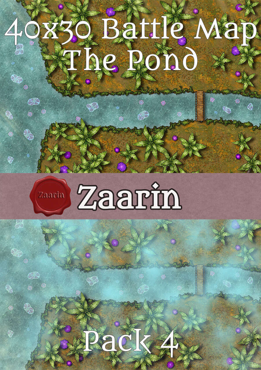 40x30 Fantasy Battle Map - The Pond Pack 4 - Zaarin | DriveThruRPG