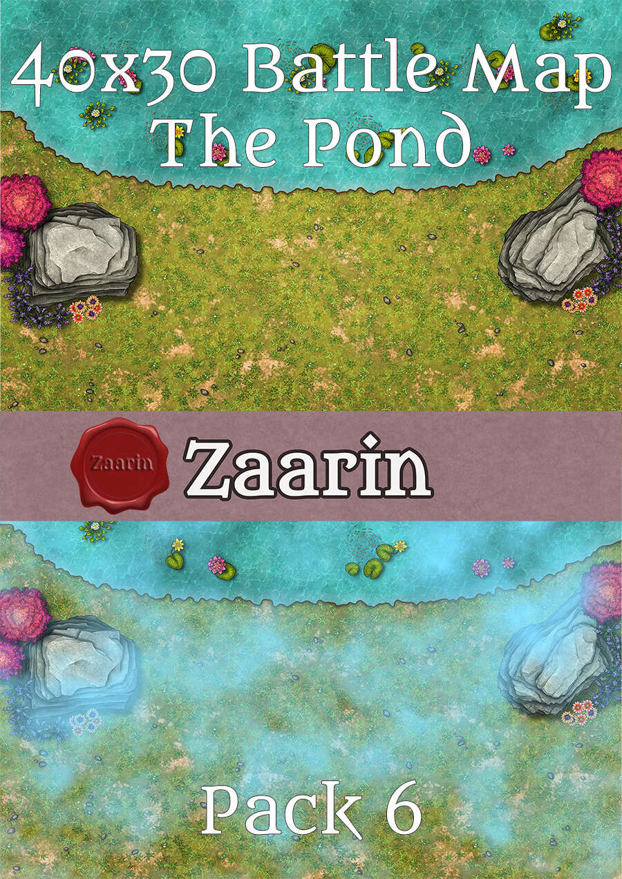 40x30 Fantasy Battle Map - The Pond Pack 6 - Zaarin | DriveThruRPG