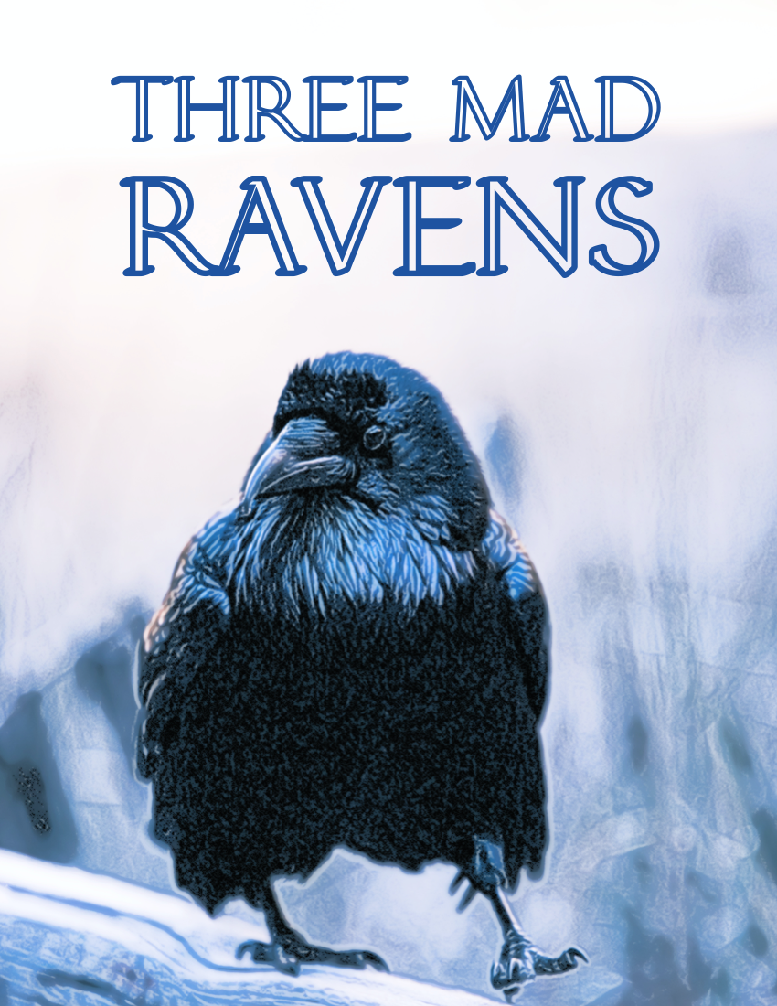 Three Mad Ravens - Florian Kalenda | DriveThruRPG