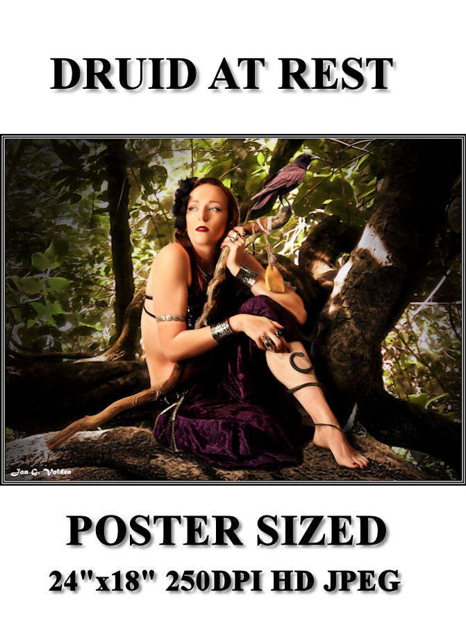 DunJon PosterJPG #56 (Druid At Rest) - Stainless Steel Dragon | Poster ...