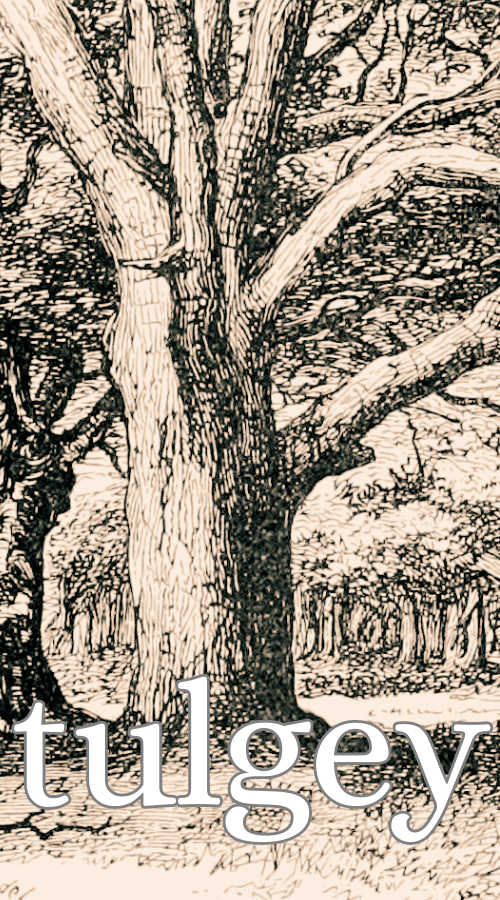 tulgey - Uncle Vova Games | DriveThruRPG