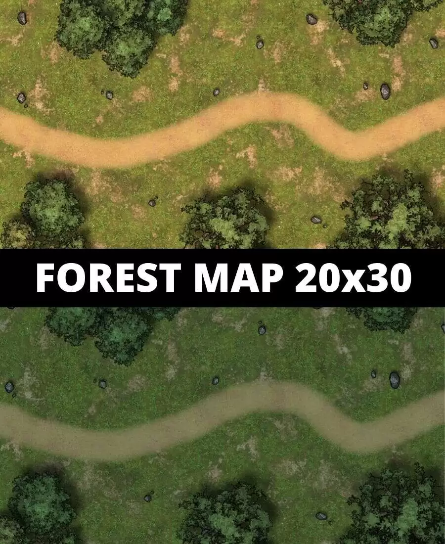 Forest Map 20x30 - owlschoolmaps | DriveThruRPG