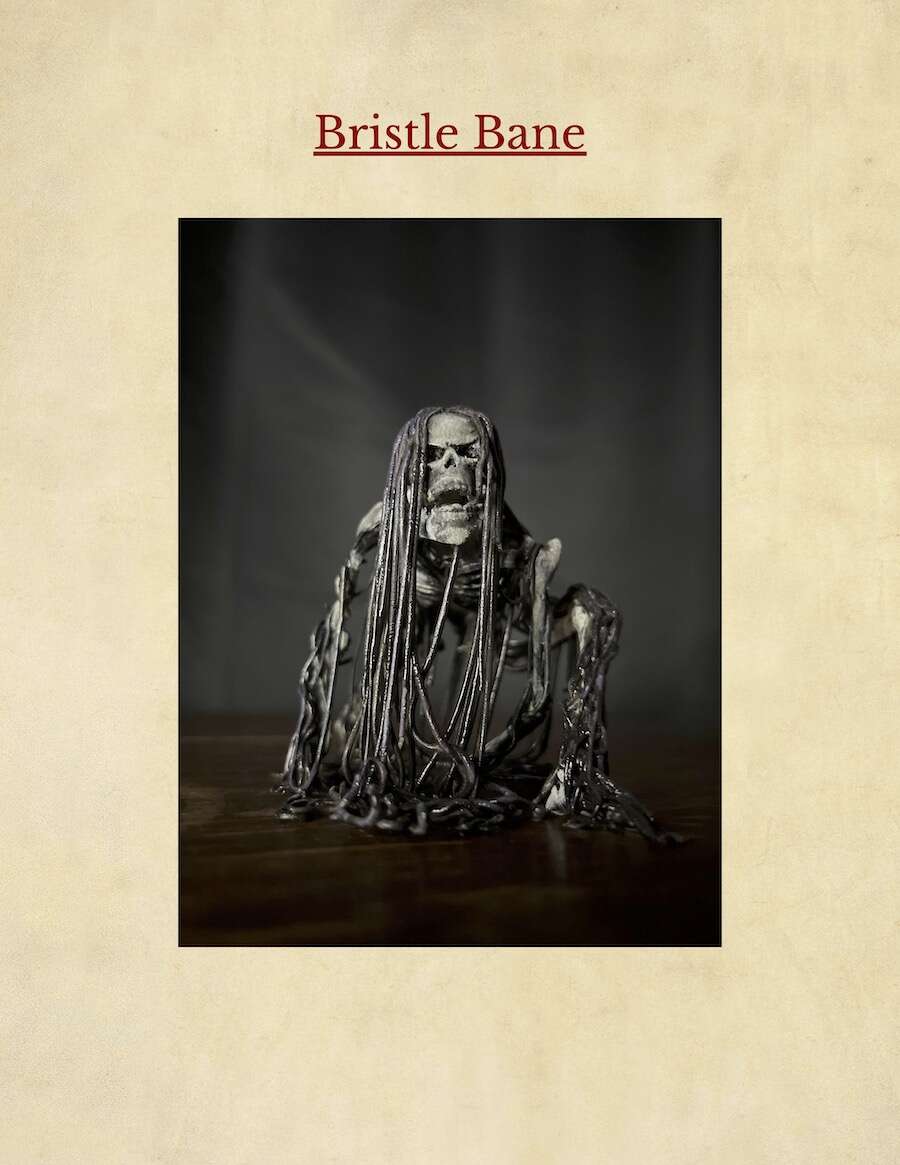 Bristle Bane | Monster Stats - Christopher's Cauldron | Christopher's ...