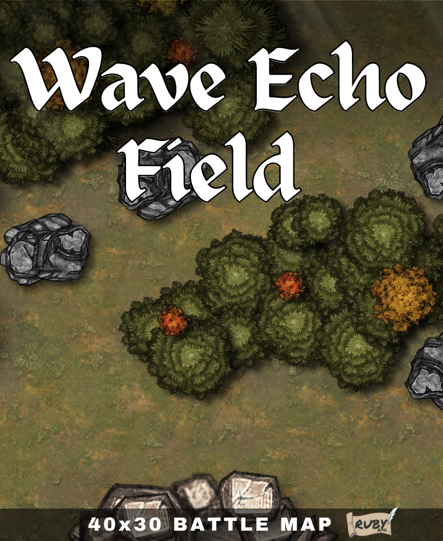 40x30 Battle Map - Wave Echo Field - RubyRPG | DriveThruRPG