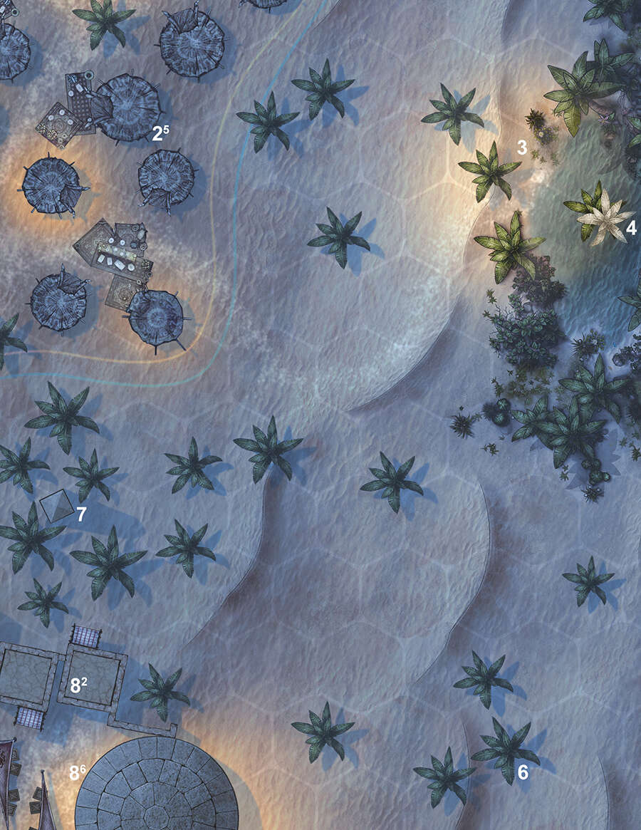 Oasis of the White Palm | Beautiful Daytime & Nighttime Maps - Dario ...