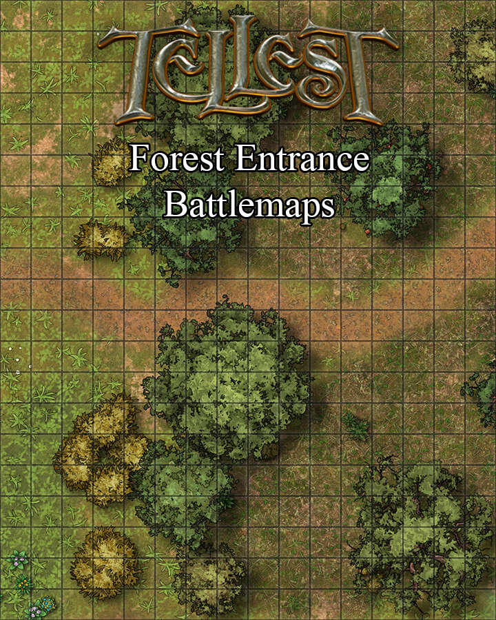 Forest Entrance Battlemap - Tellest | DriveThruRPG