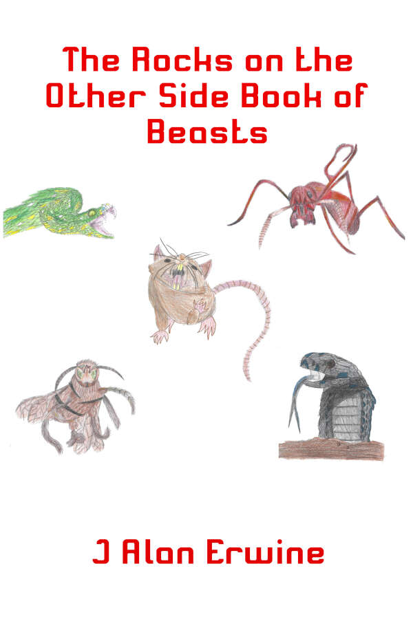 The Rocks on the Other Side Book of Beasts - Nomadic Delirium Press ...
