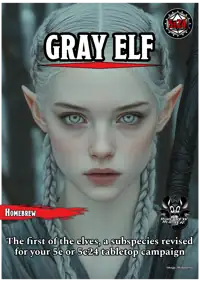 Oath of the Knights Hospitaller - Homebrew Heathen | DriveThruRPG