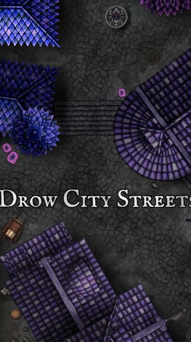 Drow City Streets - VTT Battle Map - familiar owl | DriveThruRPG