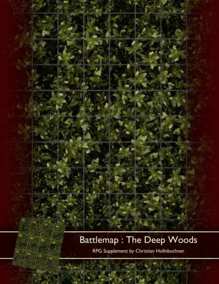 Battlemap : The Deep Woods - Christian Hollnbuchner | Battlemaps ...