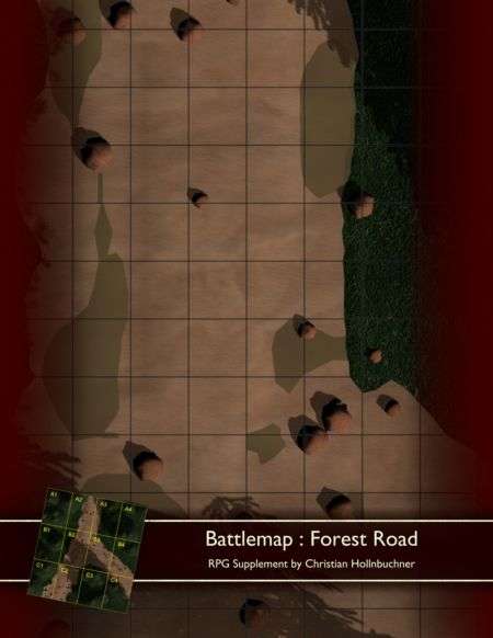 Battlemap : Forest Road - Christian Hollnbuchner | Battlemaps ...