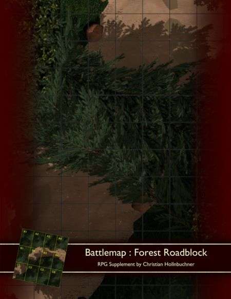 Battlemap : Forest Roadblock - Christian Hollnbuchner | Battlemaps ...