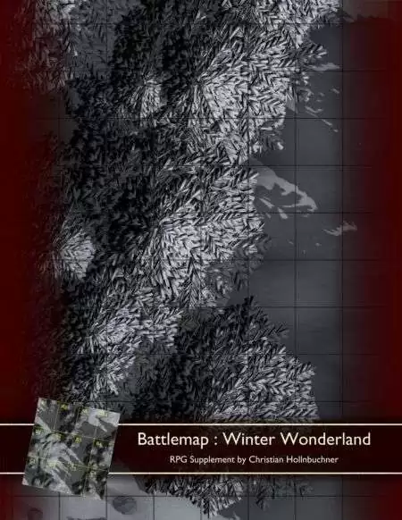 Battlemap : Winter Wonderland - Christian Hollnbuchner | Battlemaps ...