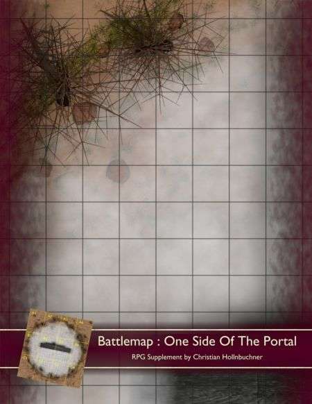 Battlemap : One Side Of The Portal - Christian Hollnbuchner ...