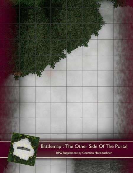 Battlemap : The Other Side Of The Portal - Christian Hollnbuchner ...