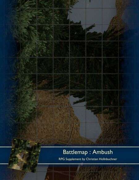 Battlemap : Ambush - Christian Hollnbuchner | Battlemaps | DriveThruRPG