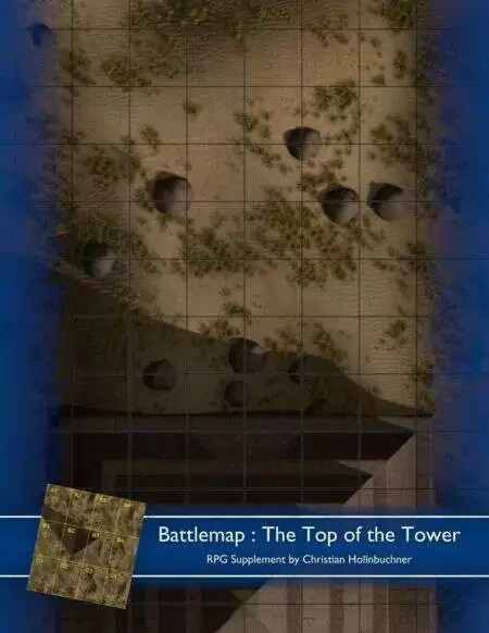 Battlemap : The Top of the Tower - Christian Hollnbuchner | Battlemaps ...