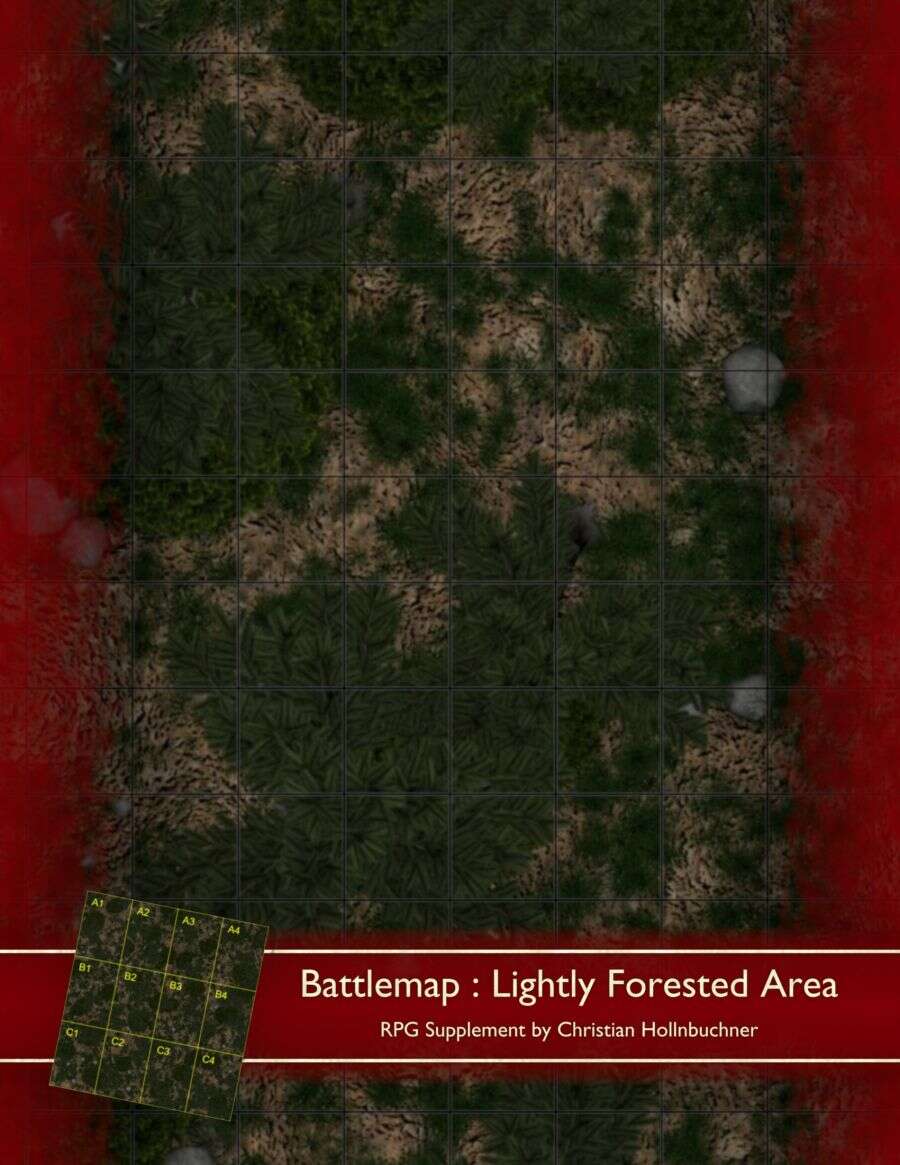 Battlemap : Lightly forested Area - Christian Hollnbuchner | Battlemaps ...