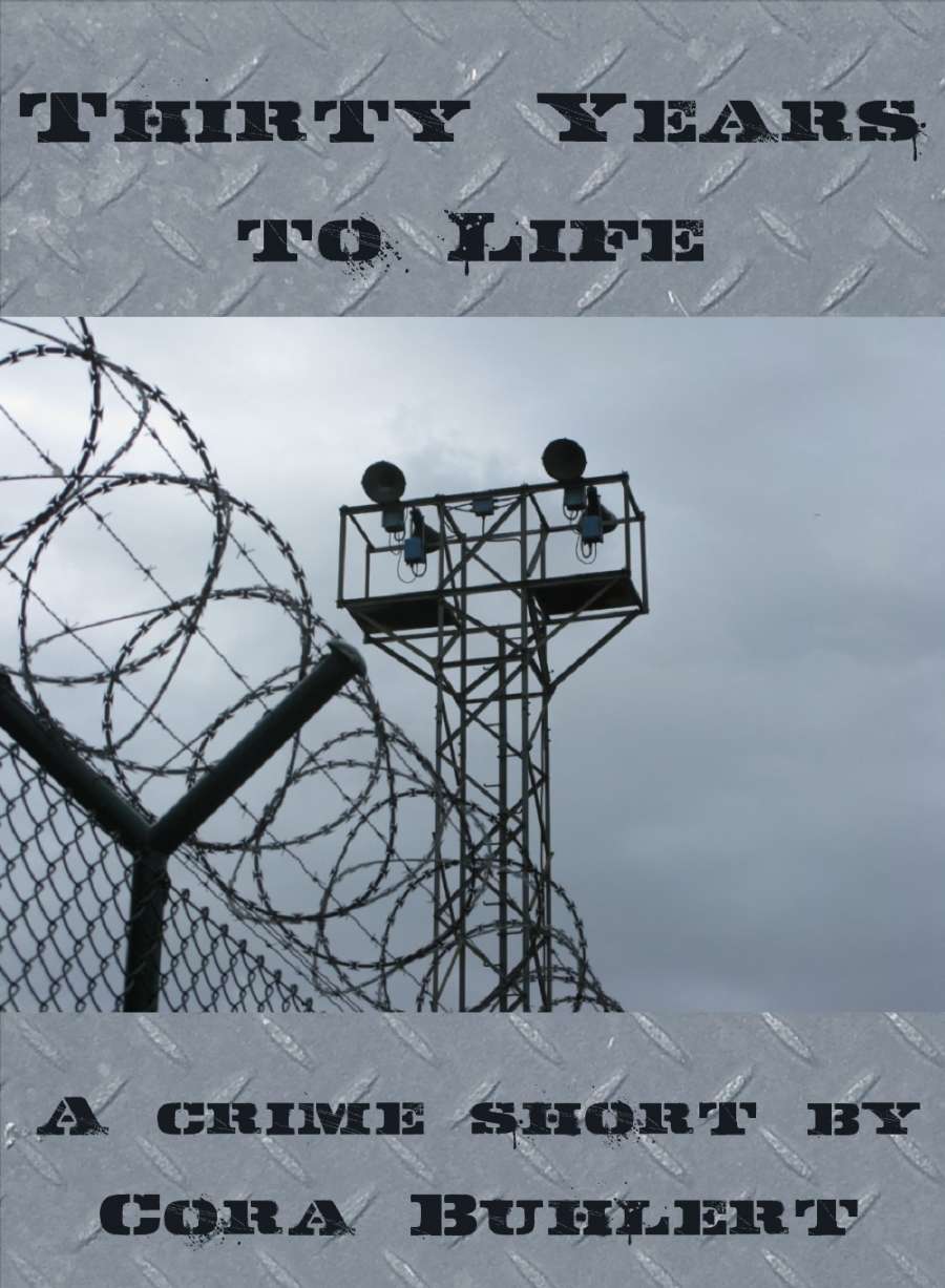 Thirty Years to Life - Pegasus Pulp Publishing | DriveThruRPG