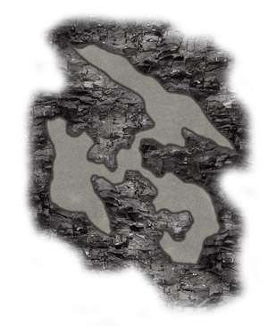 VTT Maps: Caves 1 - AAW Games | DriveThruRPG