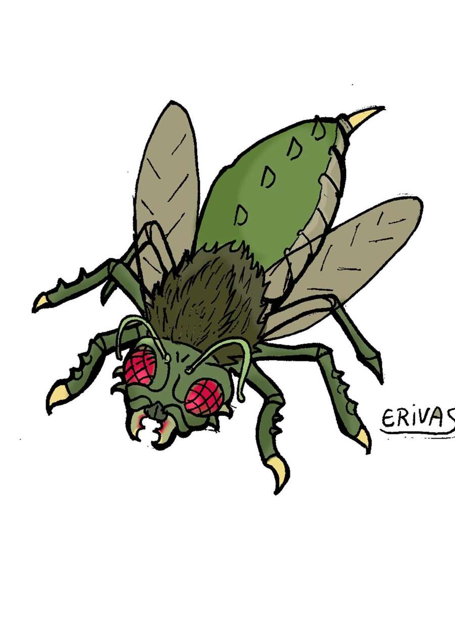 RPG Stock Art - giant fly - Hero Forge Games | DriveThruRPG