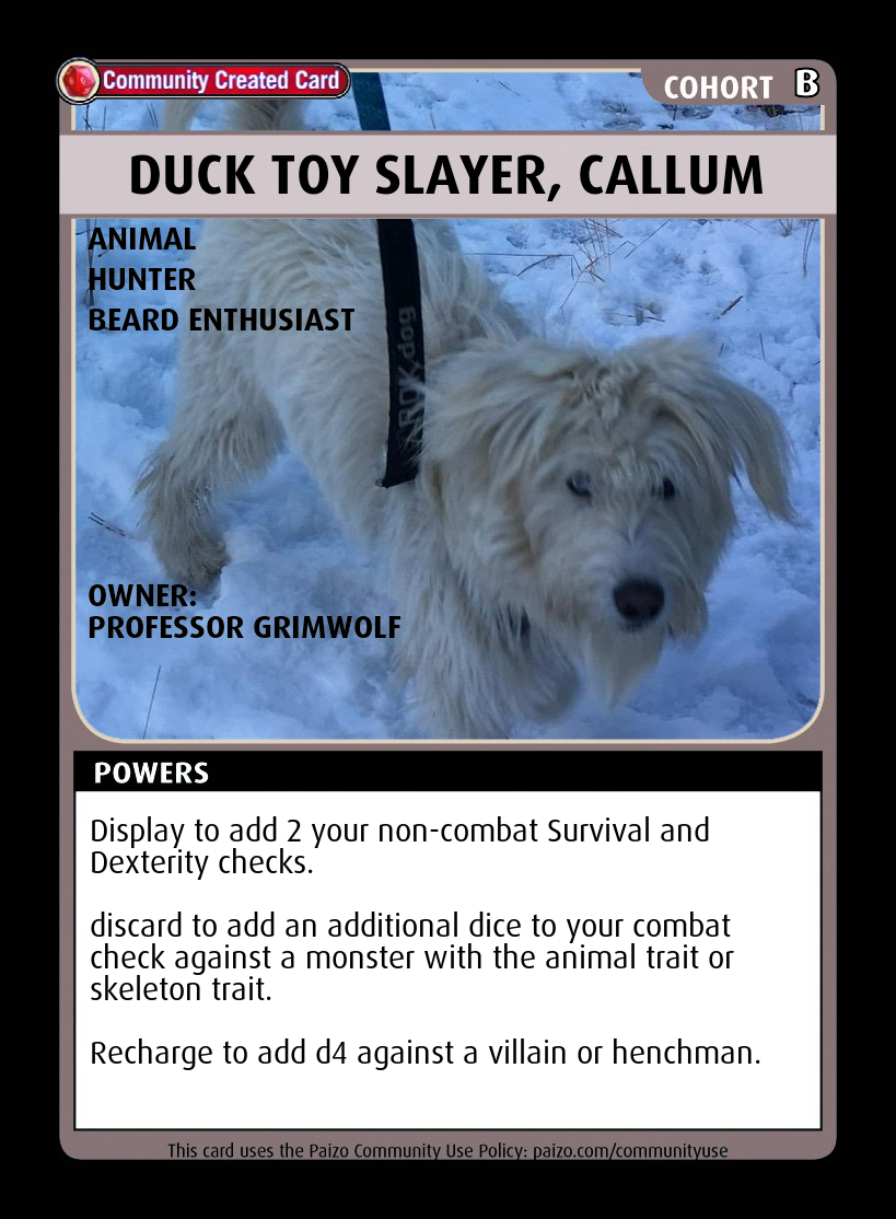 Duck Toy Slayer, Callum - Custom Card - Paizo | Pathfinder Adventure ...